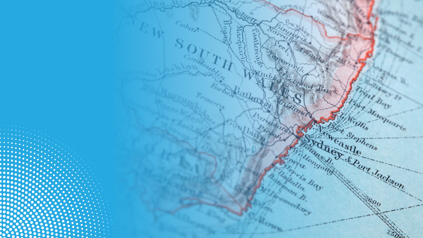 February 2025 Editors NSW - Institute of Professional Editors Limited