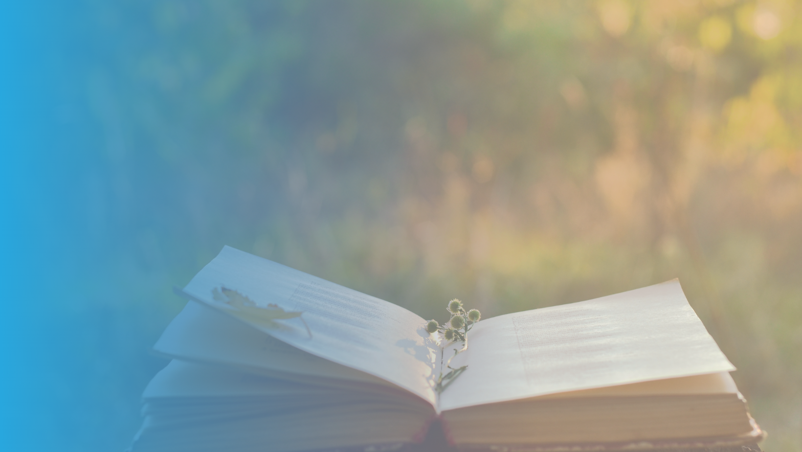 Limerick - Institute of Professional Editors Limited