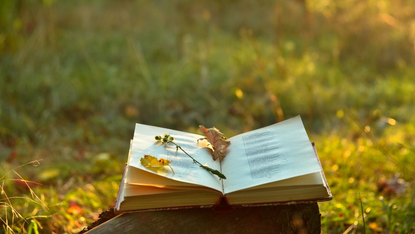 Editing Cheer! - Institute of Professional Editors Limited